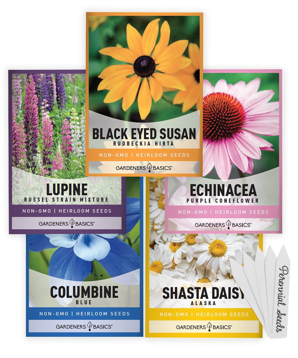 Gardeners Basics, Perennial Flower Seeds for MVR1 Planting Outdoors (5 ...