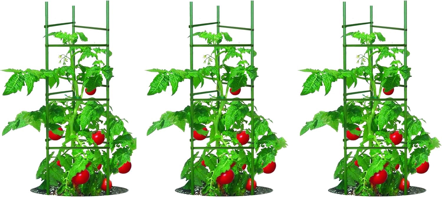 Gardener's Blue Ribbon, Tomato Cage, 5 ft, Pack of 3 - Walmart.com