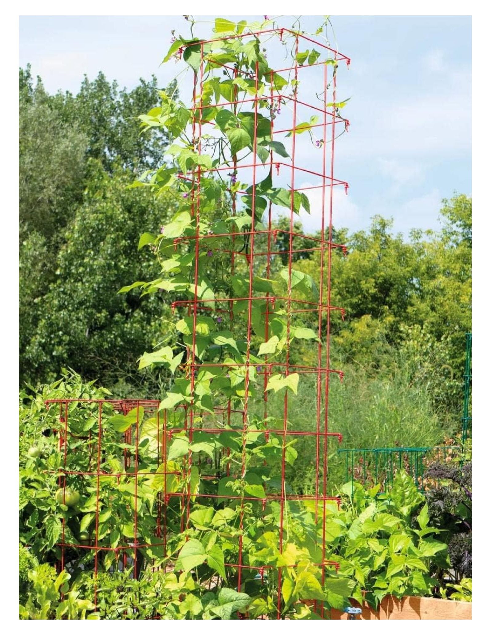 Gardeners Supply Company Large Bean Tower Plant Support | Sturdy ...