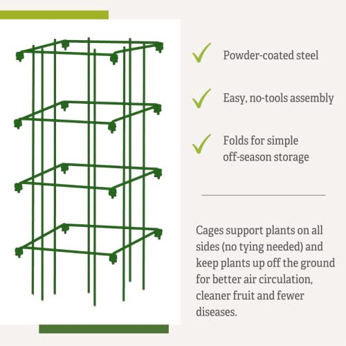 Gardeners Supply Company Pepper and Eggplant Cages Plant Stand | Heavy ...