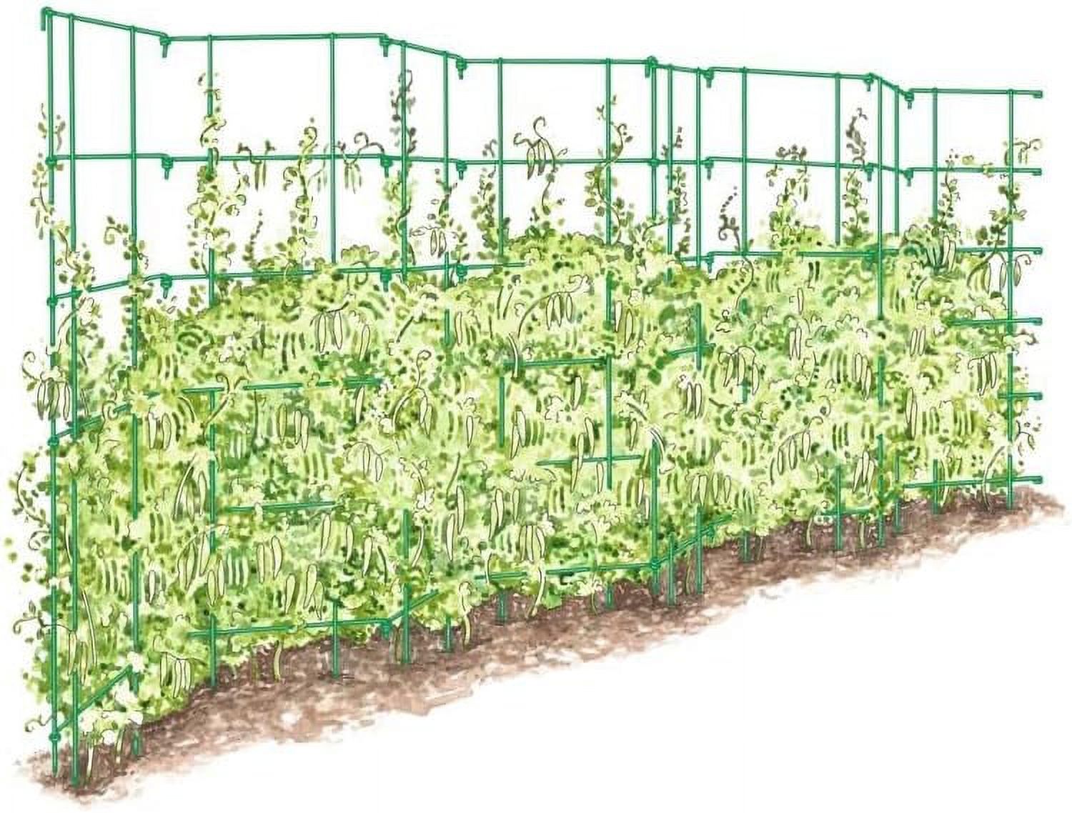 Gardeners Supply Company Sturdy Expandable Tall Pea Trellis for ...