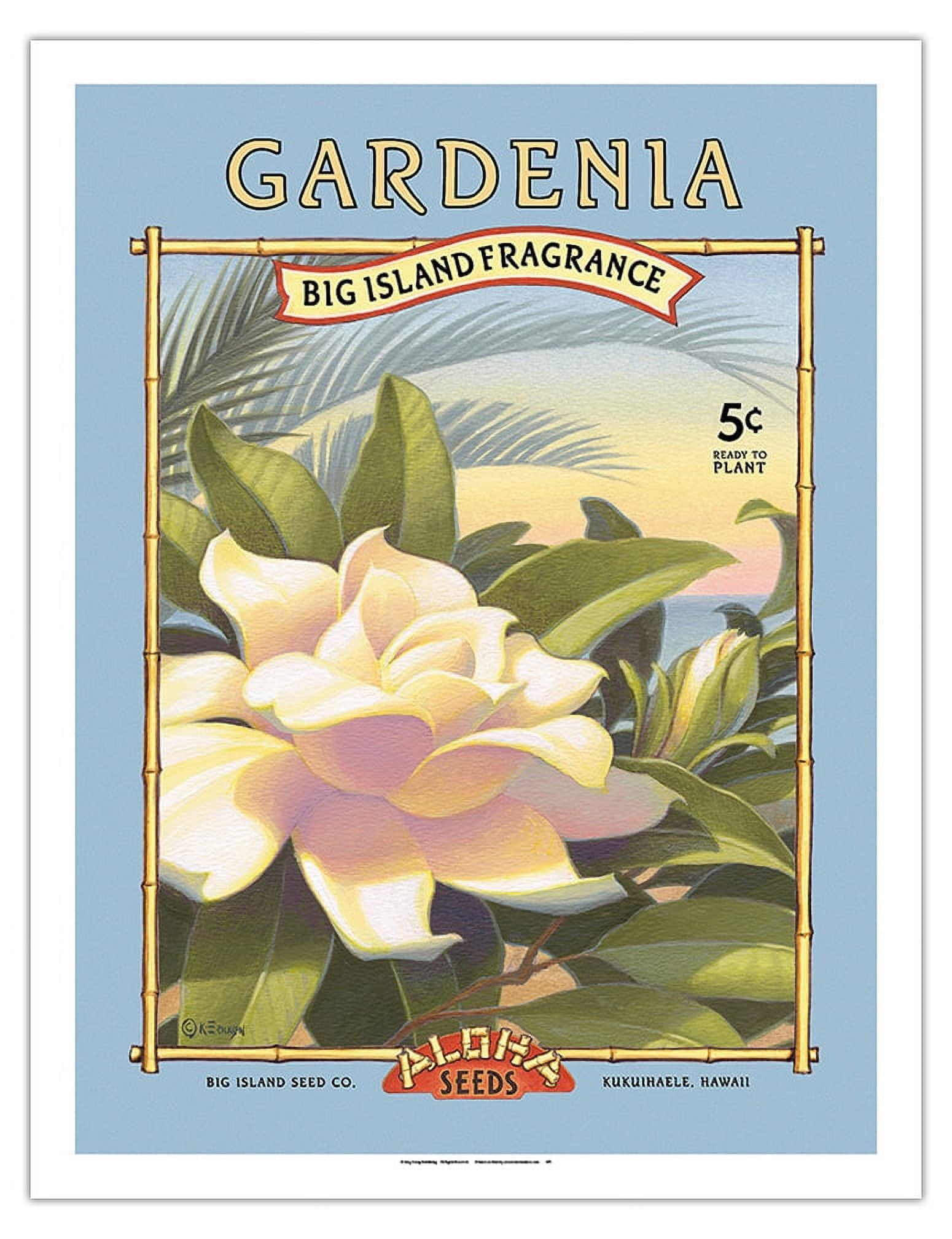 Gardenia - Aloha Seeds - Big Island Seed Company - Big Island Fragrance ...