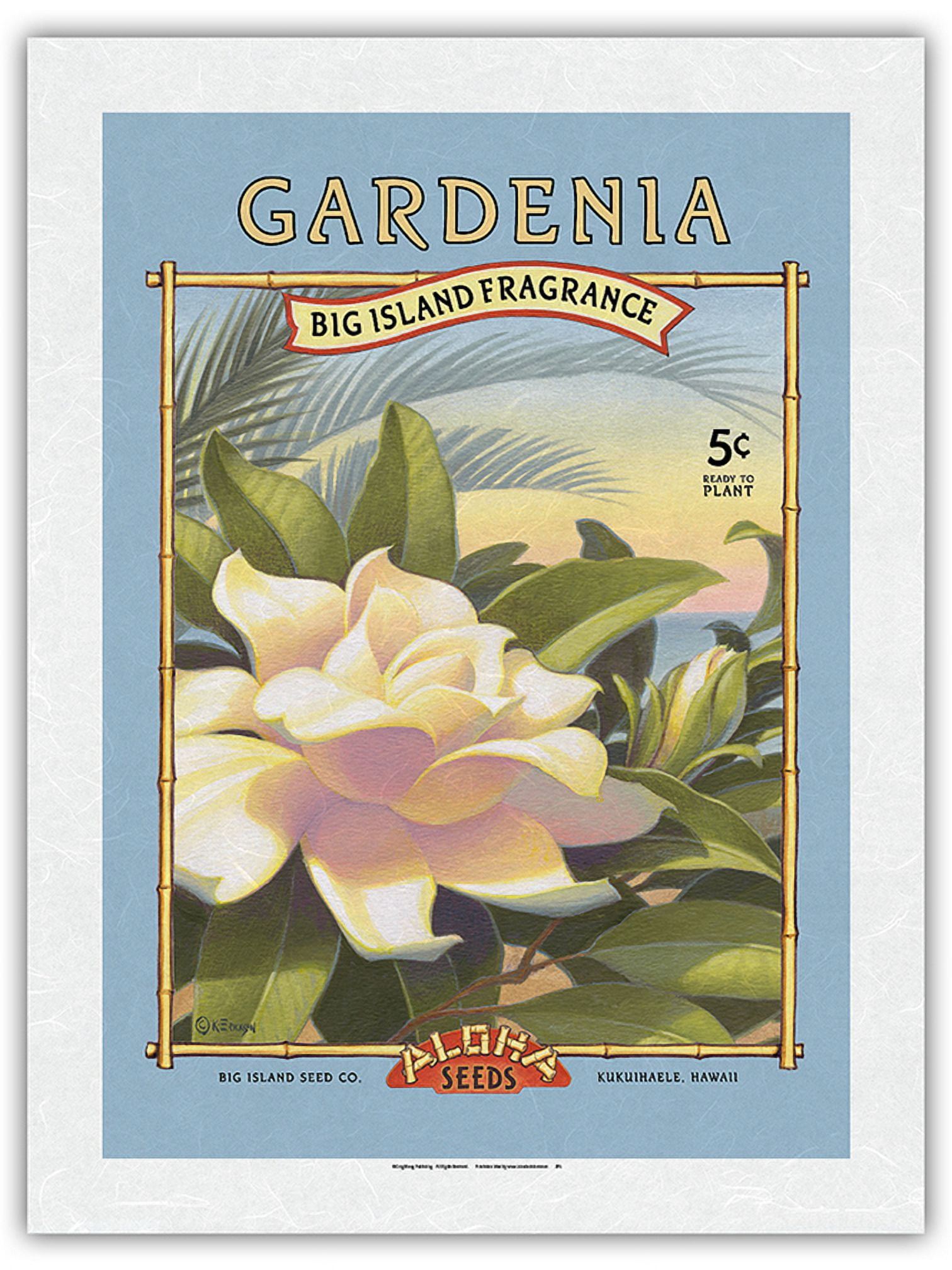 Gardenia - Aloha Seeds - Big Island Seed Company - Big Island Fragrance ...