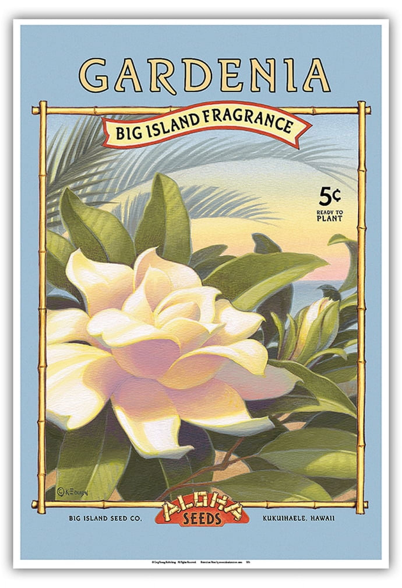 Gardenia - Aloha Seeds - Big Island Seed Company - Big Island Fragrance ...