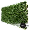 Greenery Panel 12 Pack - Tropical Mix - Walmart.com