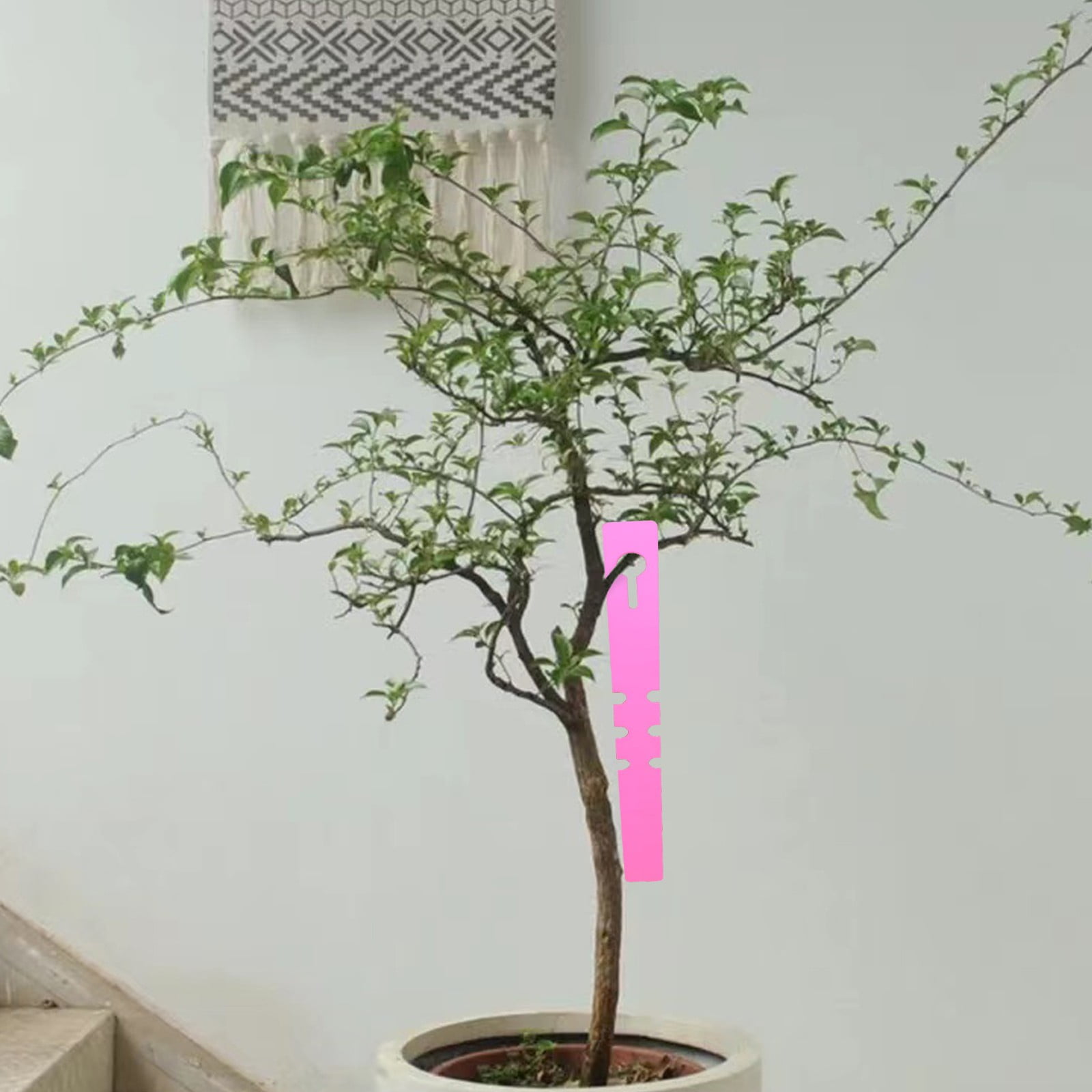 Gardening 100 PCS Straight Seedling Ring Label Color Label Garden Label ...