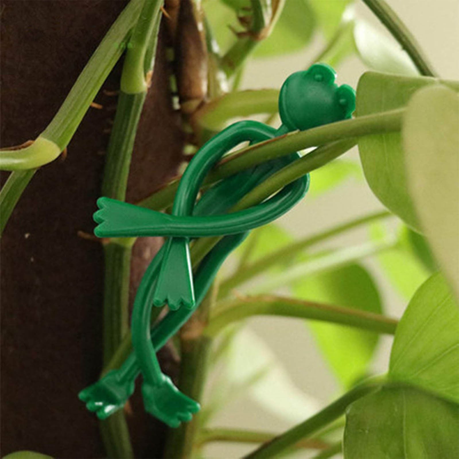 Gardening Aid Ties | Cartoon Frogs & Lizards Plant Branch Organizers ...