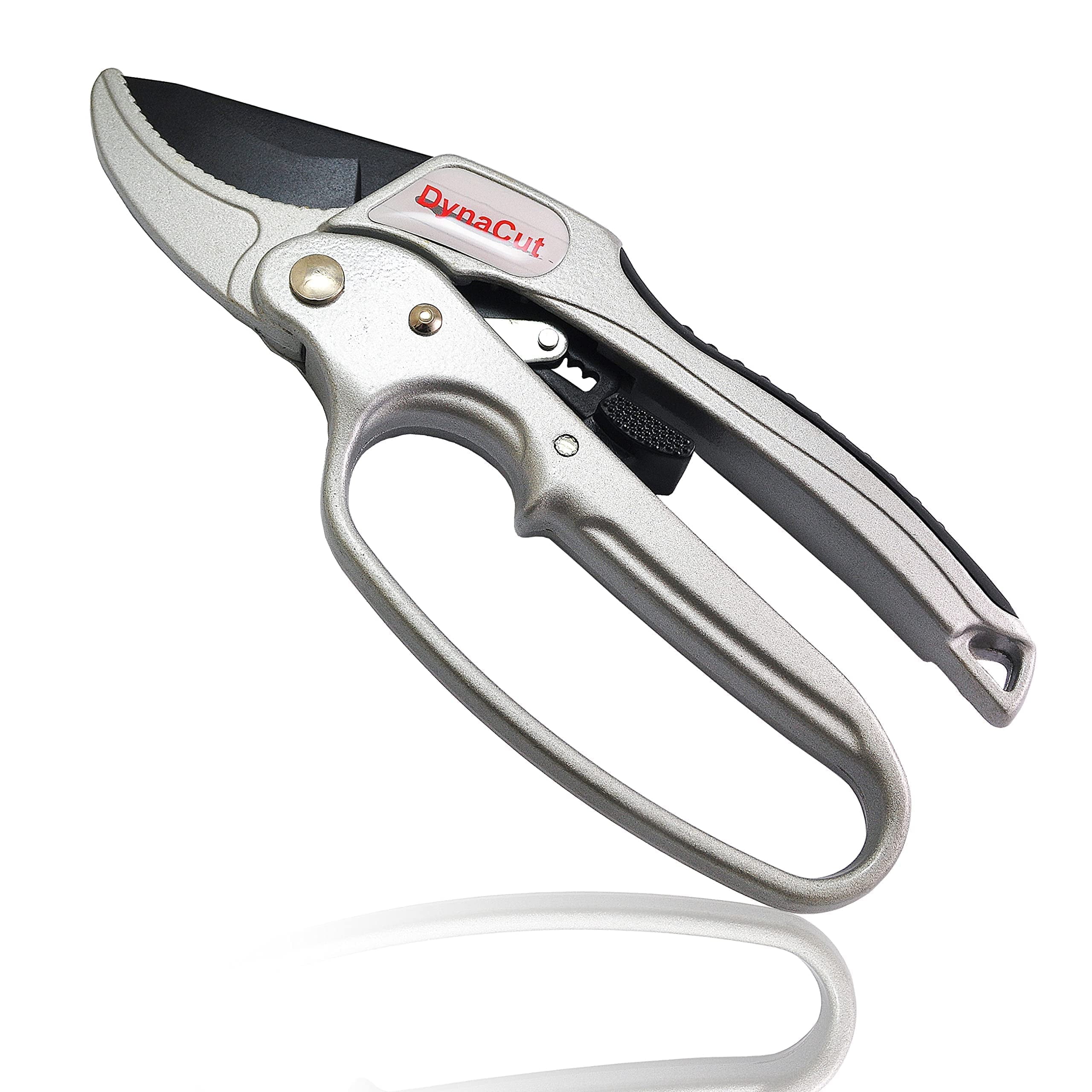 Gardening Ratchet Pruning Shears 8'', Professional Anvil Pruning ...