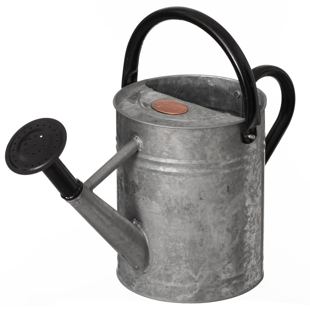 1-Gallon Steel Watering Can with Removable Sprinkler Head Ideal for ...