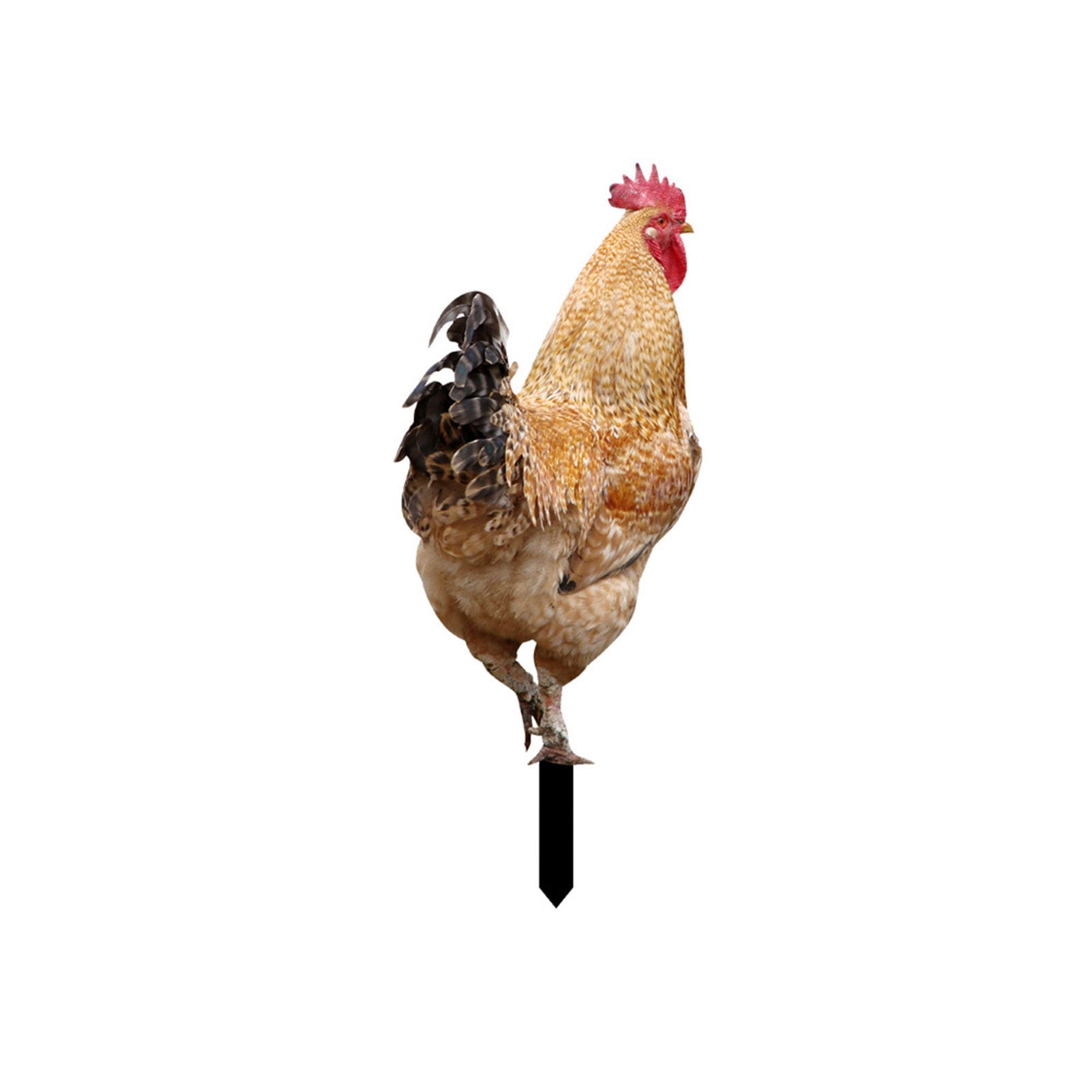 Gardenne Handpainted Garden Decoration Outdoor Hen Decor 2Pcs Garden ...