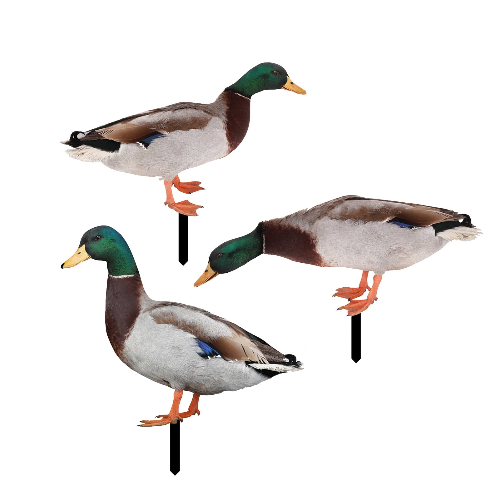 Gardenne Poultry Insert Sign Acrylic Duck Stakes Outdoor Stake Decor ...