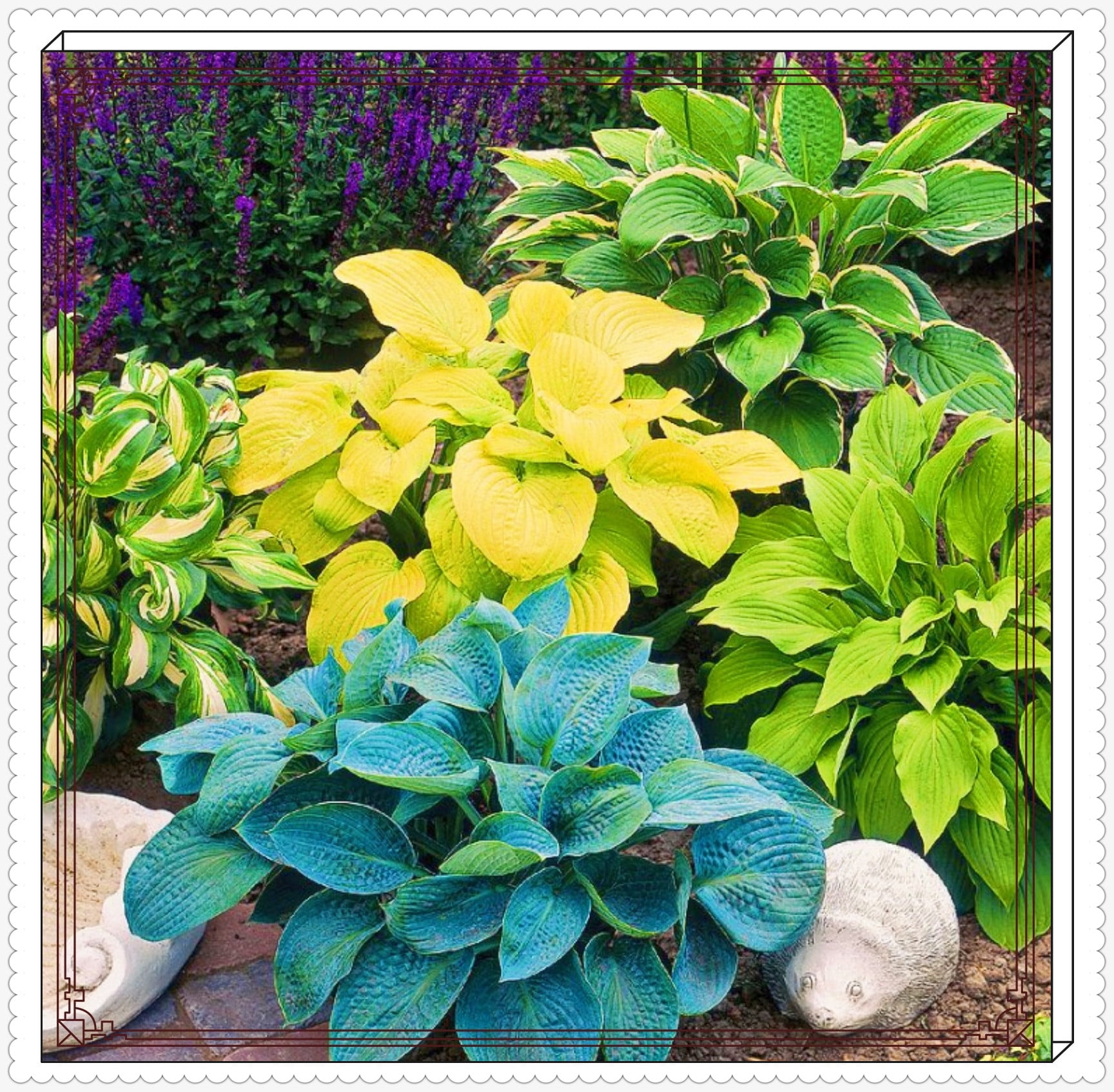 Gardens Gift Ready(Hostas)Beautiful Holiday Decoration - Walmart.com