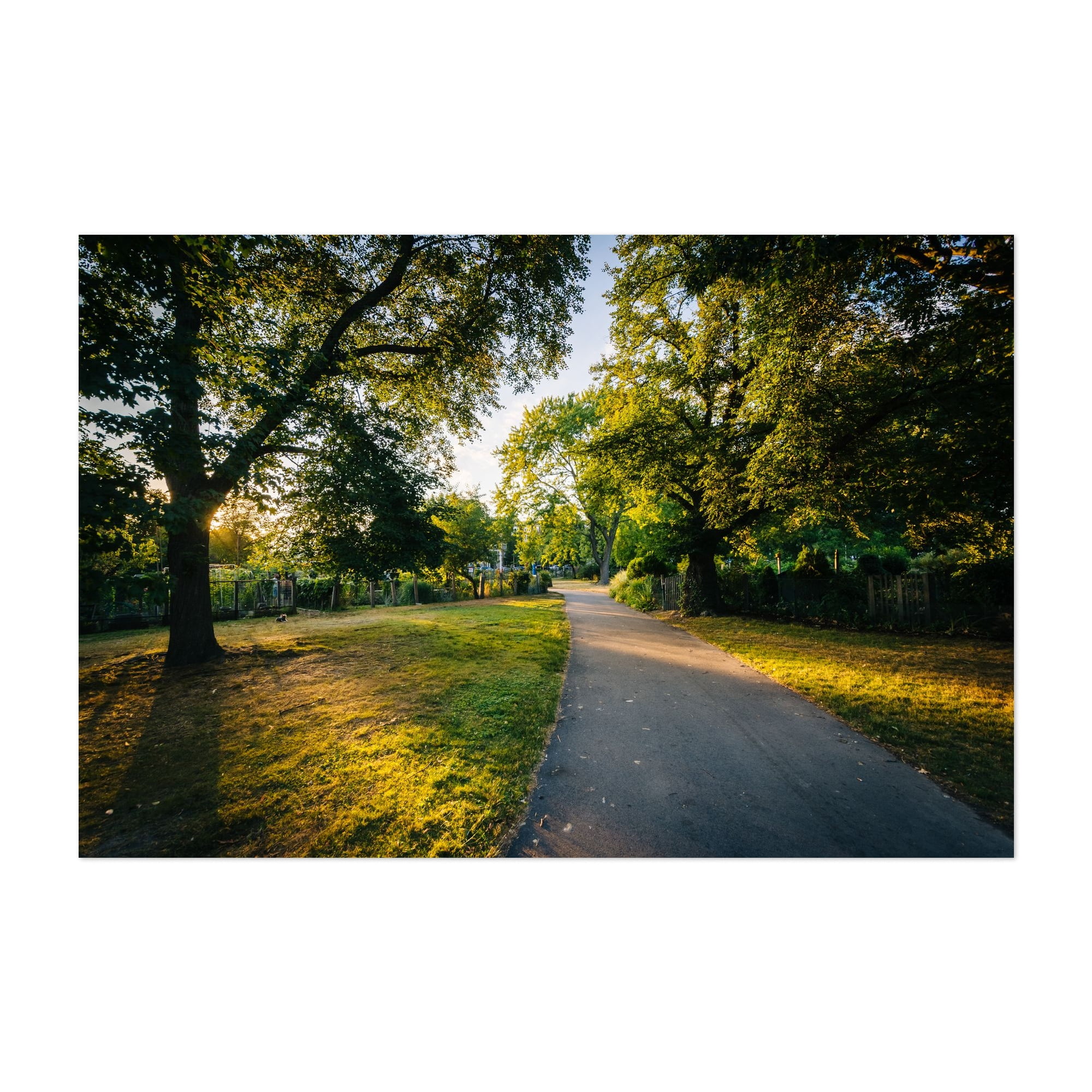 Gardens at Back Bay Fens - Boston Massachusetts Photography Unframed ...
