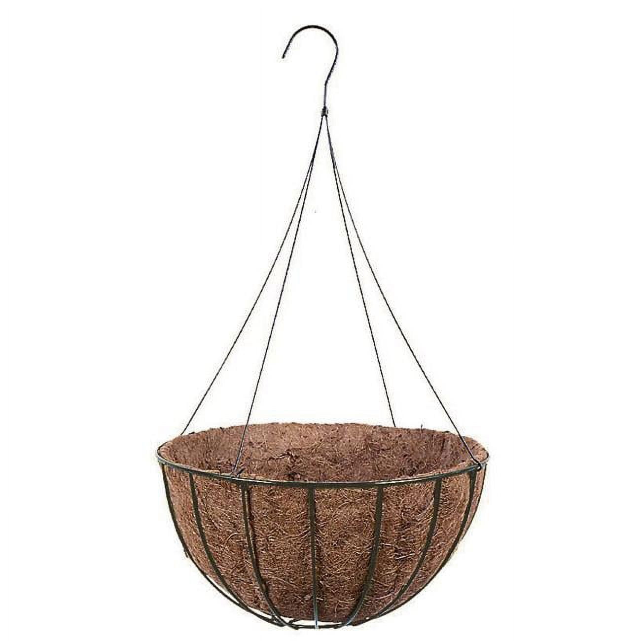 Gardman Usa 16in. Black Wire Grow Basket With Coco Liner & Wire Hanger ...