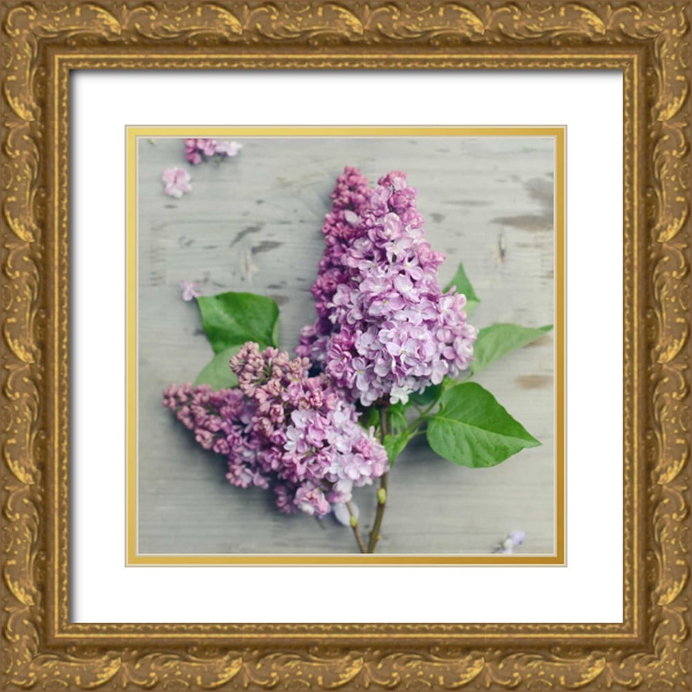 Gardner, Sarah 12x12 Gold Ornate Wood Framed with Double Matting Museum Art Print Titled - Fresh ...