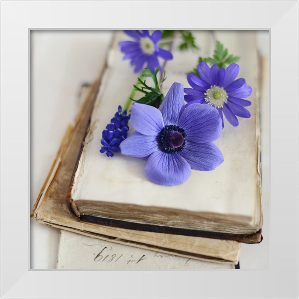 Gardner, Sarah 12x12 White Modern Wood Framed Museum Art Print Titled ...