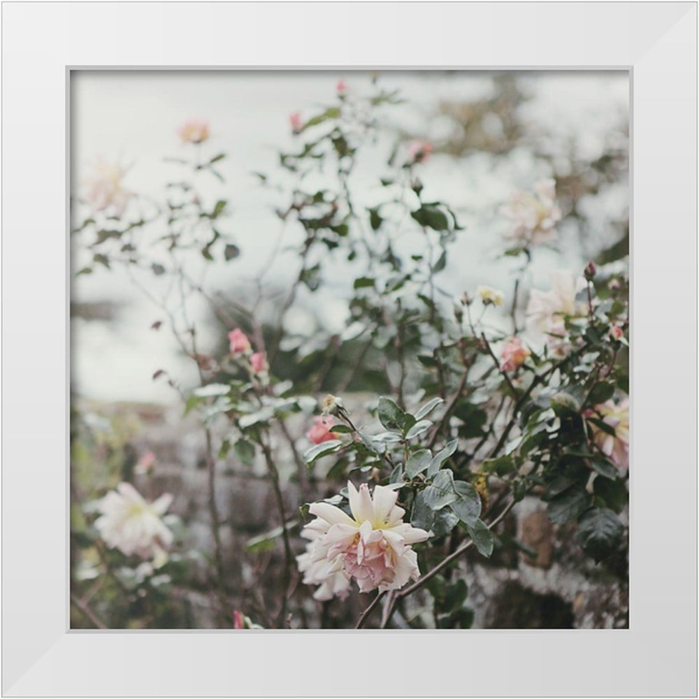 Gardner, Sarah 20x20 White Modern Wood Framed Museum Art Print Titled ...
