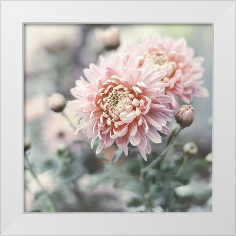 Gardner, Sarah 26x26 White Modern Wood Framed Museum Art Print Titled ...
