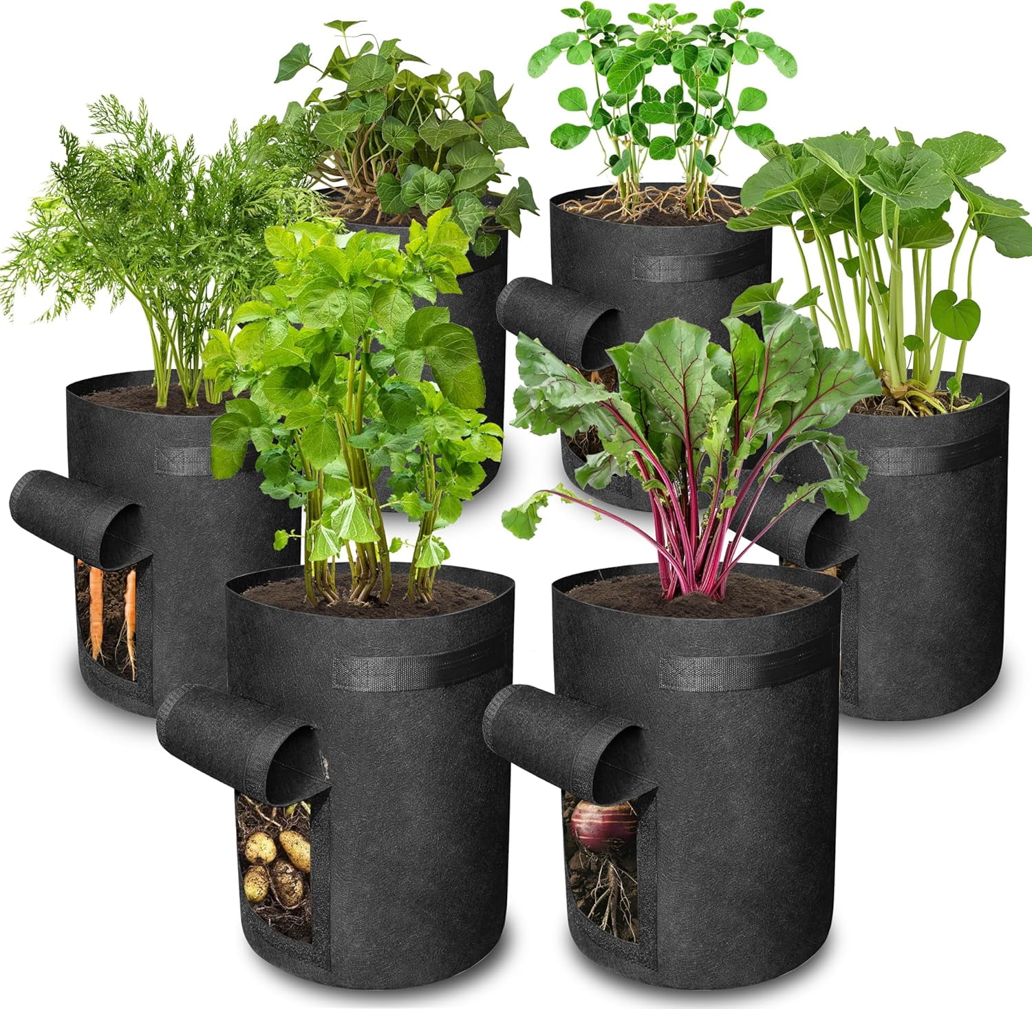 Gardzen 6 Pack BPA-Free 10 Gallon Vegetable Grow Bags with Access Flap ...