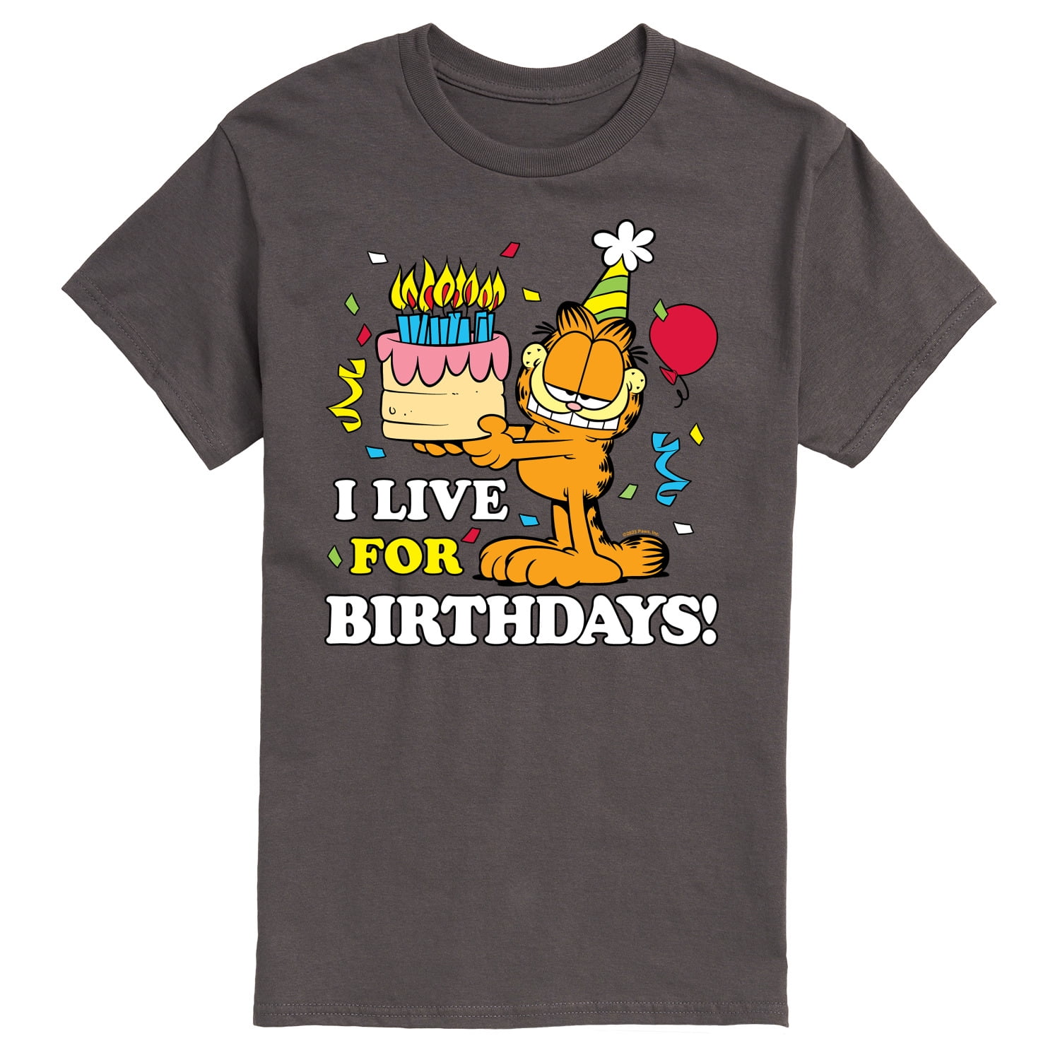 Garfield - I Live For Birthday's - Men's Short Sleeve Graphic T-Shirt ...