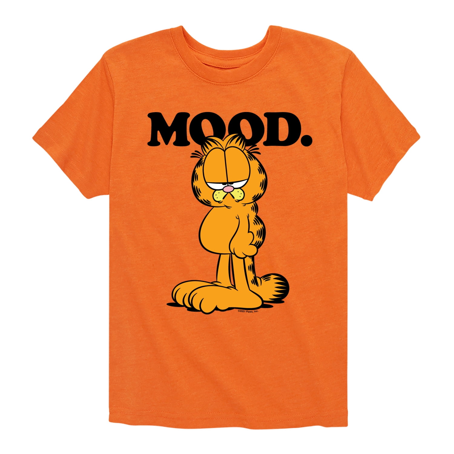 Garfield - Mood - Toddler And Youth Short Sleeve Graphic T-Shirt ...