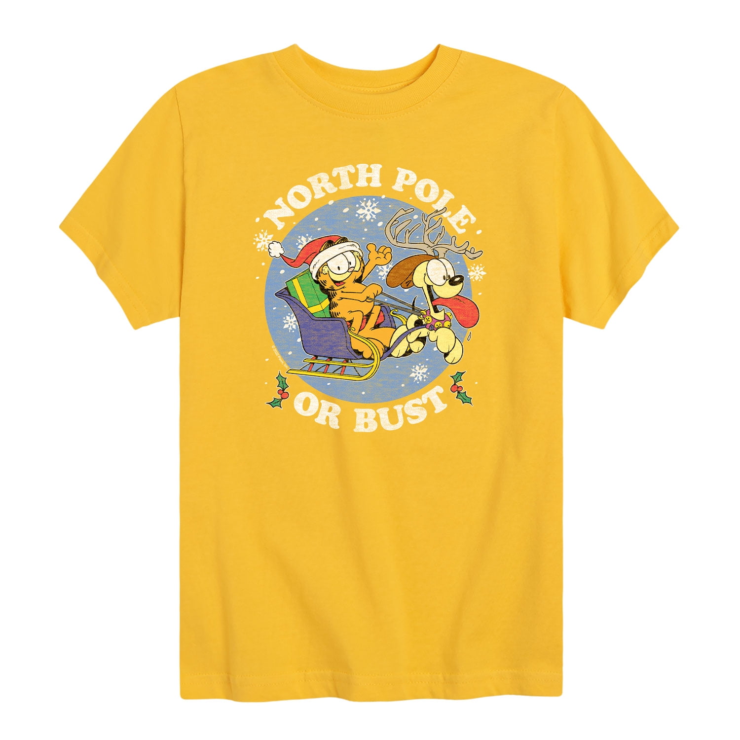Garfield - North Pole Or Bust - Toddler And Youth Short Sleeve Graphic ...