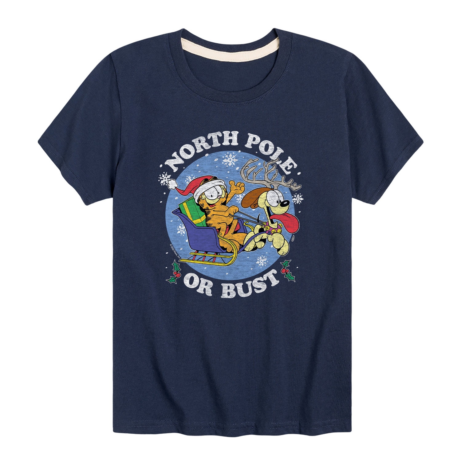 Garfield - North Pole Or Bust - Toddler And Youth Short Sleeve Graphic ...