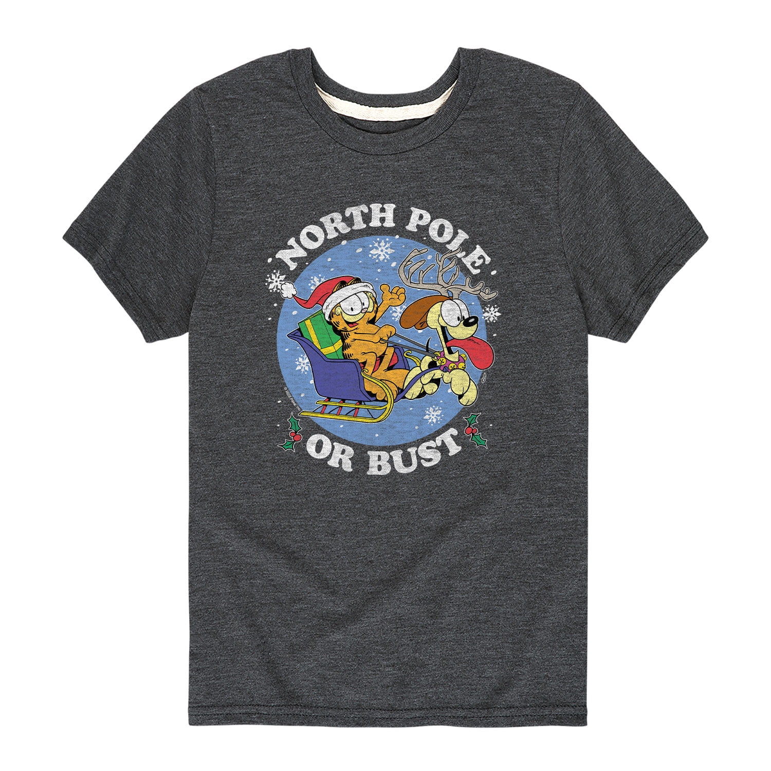 Garfield - North Pole Or Bust - Toddler And Youth Short Sleeve Graphic ...