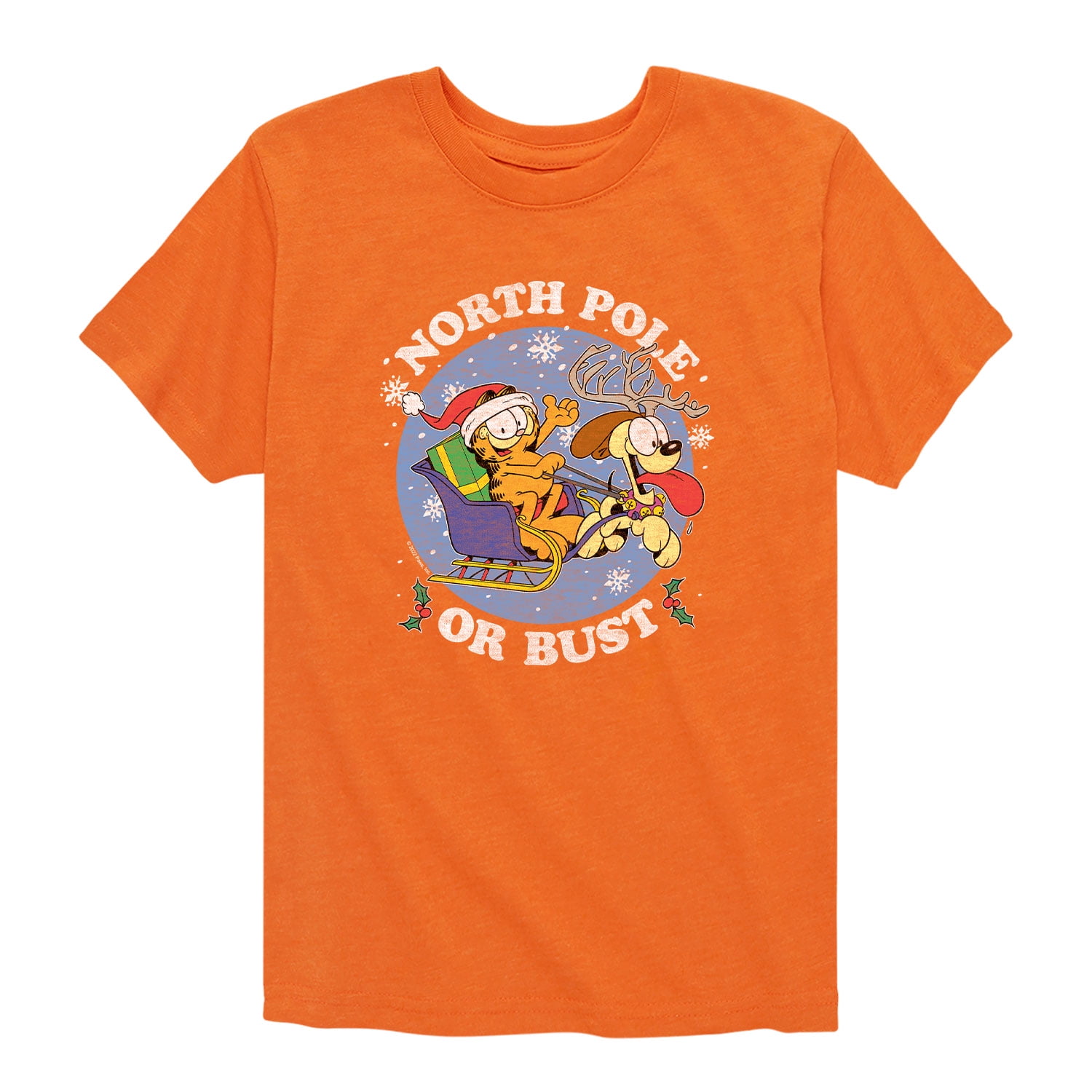 Garfield - North Pole Or Bust - Toddler And Youth Short Sleeve Graphic ...