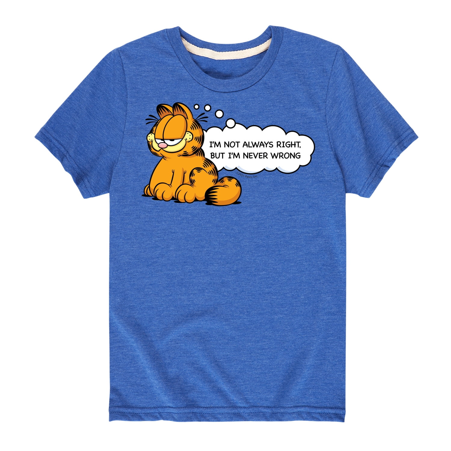 Garfield - Not Always Right - Toddler And Youth Short Sleeve Graphic T ...