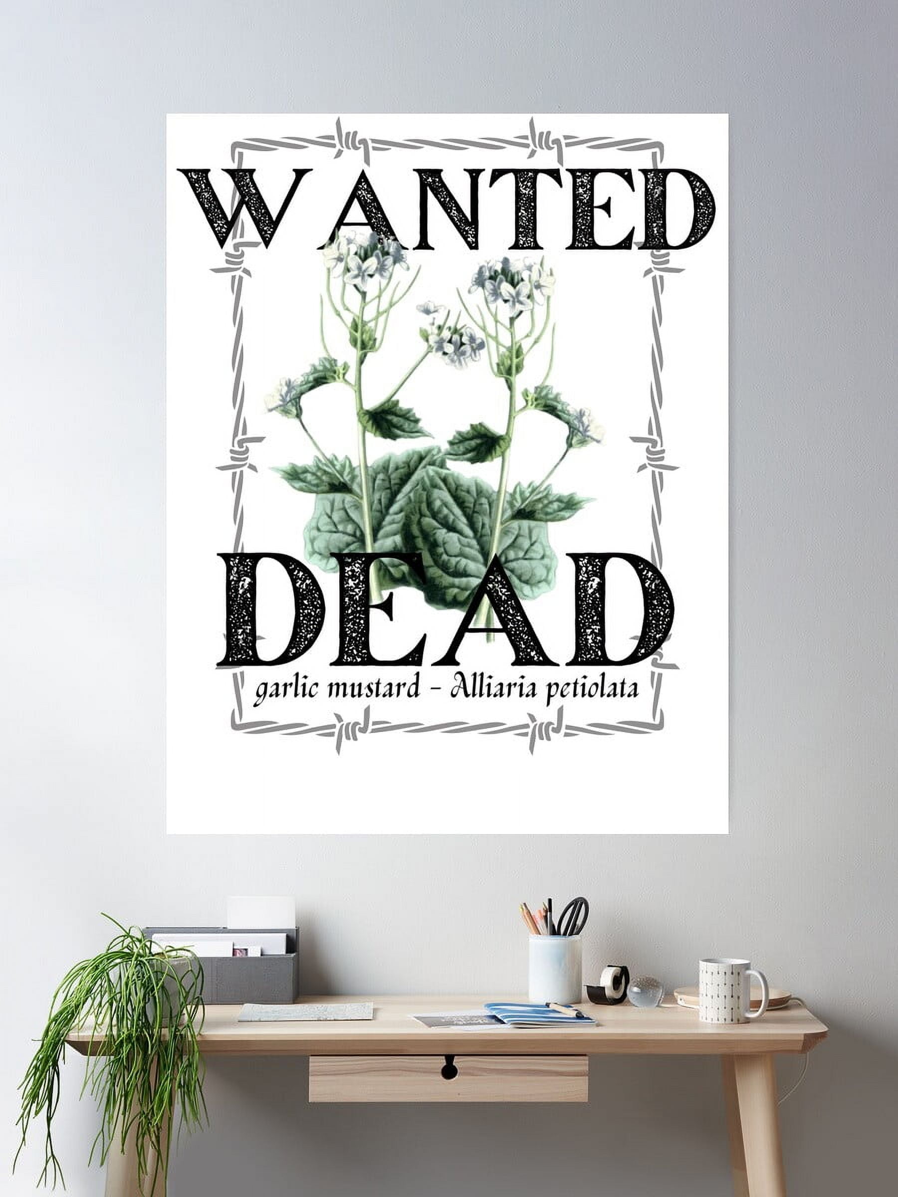 Garlic Mustard Poster Wall Art, Modern Wall Decor For Living Room ...