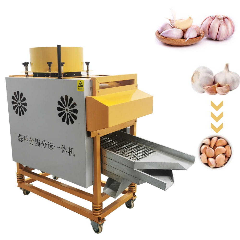 Garlic Separating Machine Garlic Cloves Grading Sorting Machine Garlic Processing Equipment ...