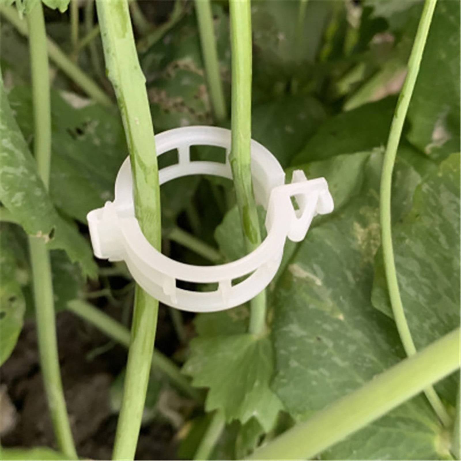 Garnet Securing Clip 150Pc/400Pc Plant Fixing Clips Secured Plastic ...