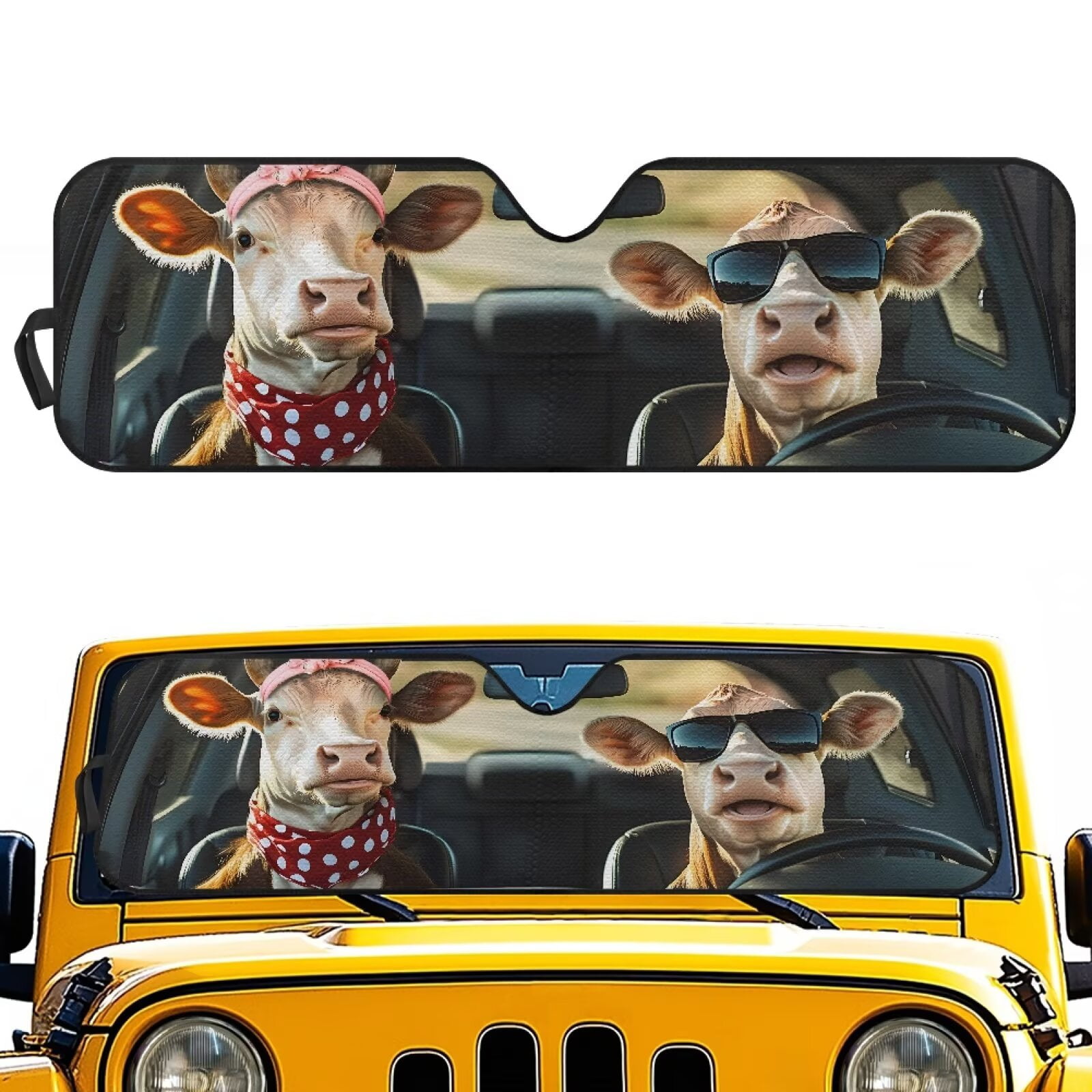 Funny Car Sun Shade