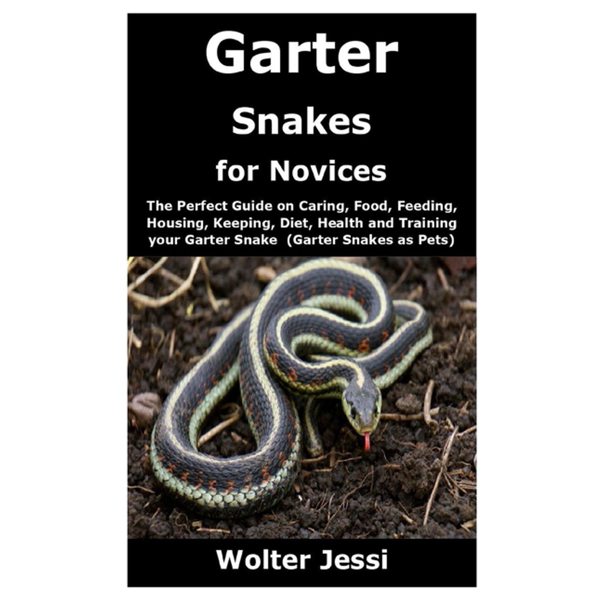 Baby Garter Snake Food