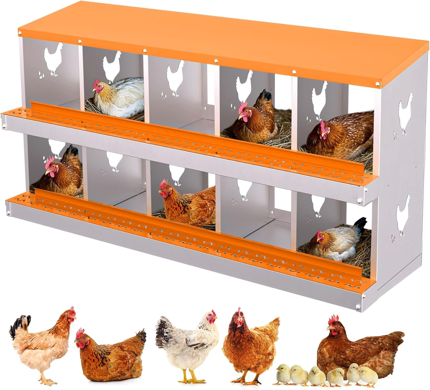 Garvee 10-Hole Chicken Coop Nesting Box with Ventilation Holes, Durable ...