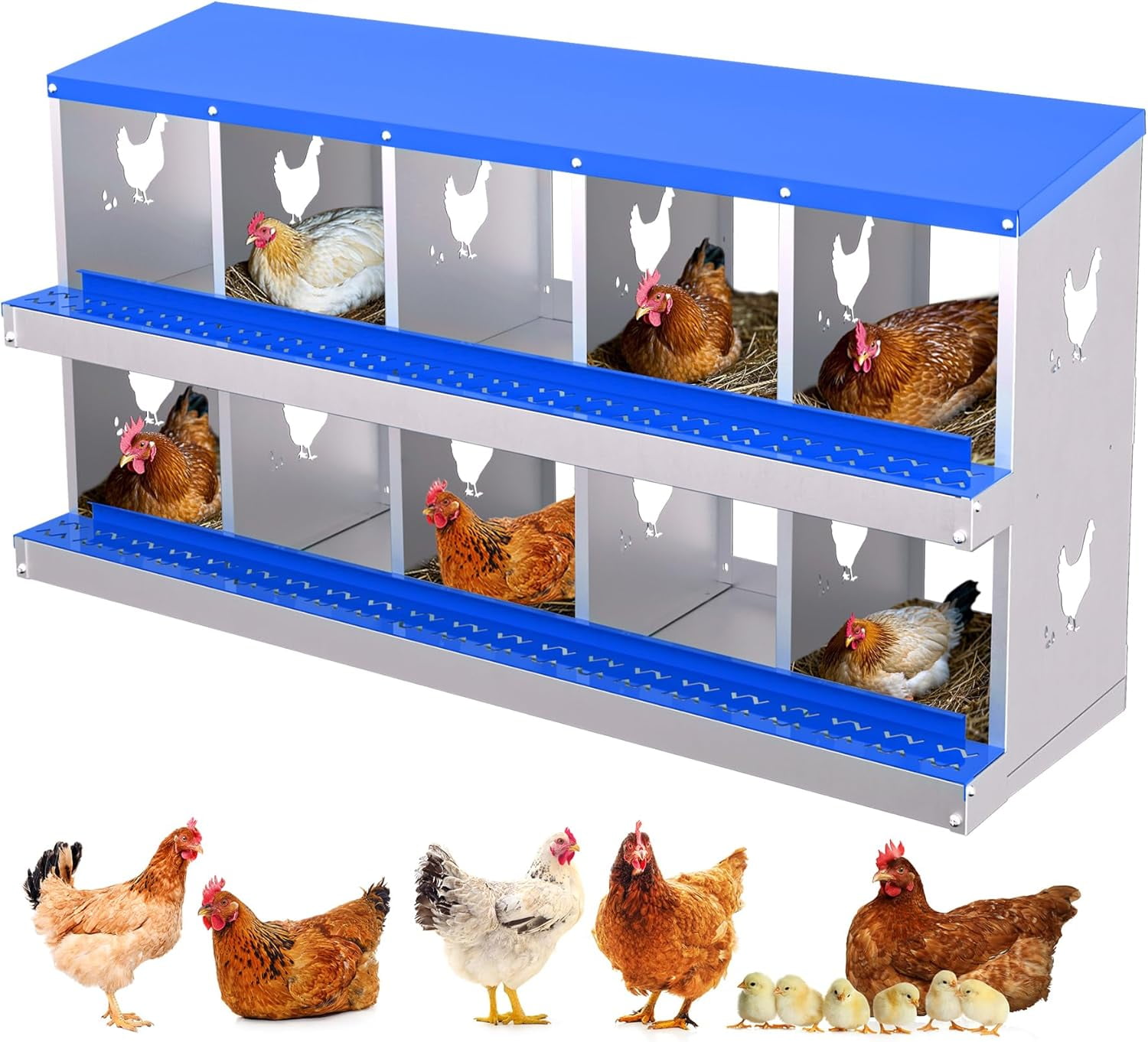 Garvee 10-Hole Chicken Coop Nesting Box with Ventilation Holes, Heavy ...