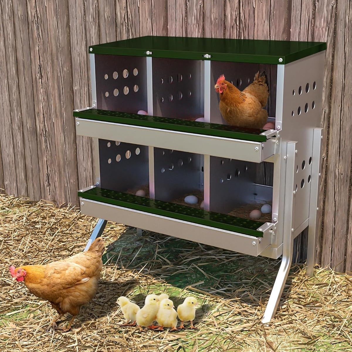 Garvee Chicken Nesting Box, for Laying Eggs, 6 Grids, 27.17 x 16.93 x 30.71 inch, Green ...