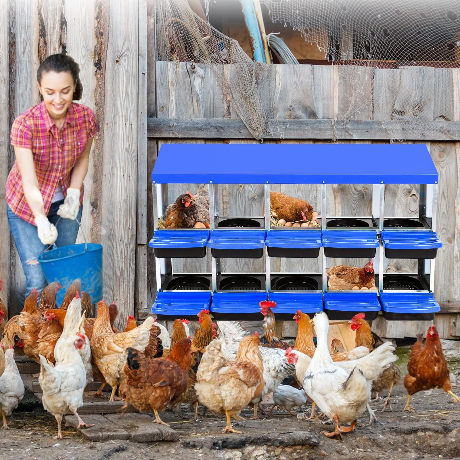 Garvee Compartment chicken nesting box for egg laying, metal poultry ...