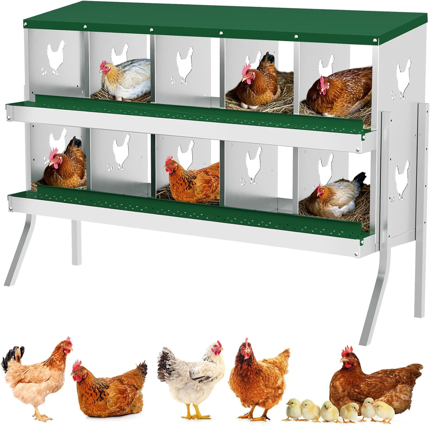Garvee Heavy-Duty Chicken Nesting Boxes - Comfortable Environment for ...