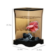 Aqua Dream 40 Gallon All-in-One Fish Tank Starter Kit, Black Tempered ...