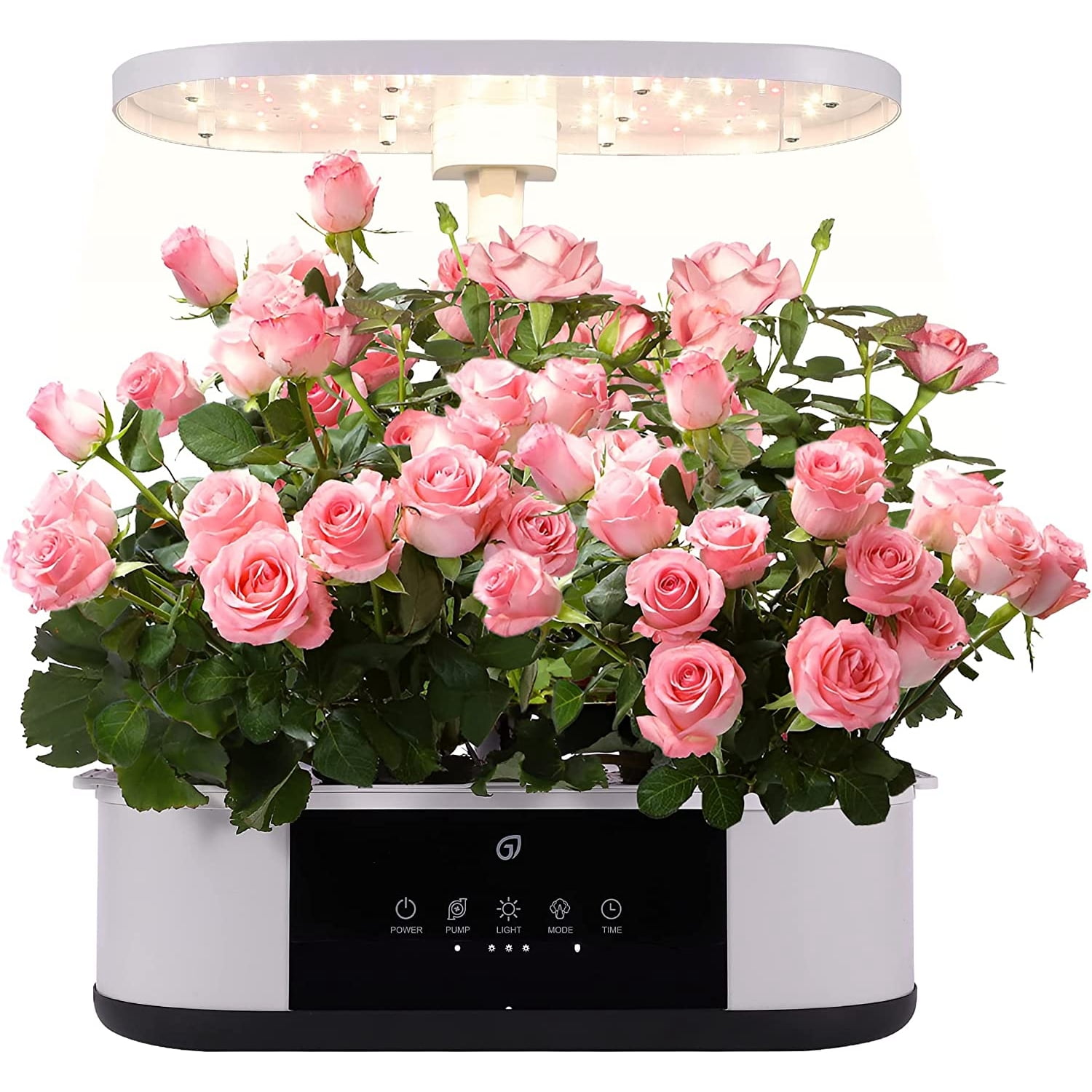 Garvee Smart Indoor Herb Garden Kit, 12 Pods Hydroponics Growing System ...