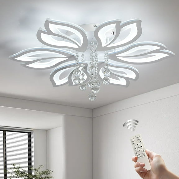 Remote Controlled Ceiling Light Fixture