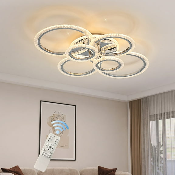 Remote Controlled Ceiling Light Fixture