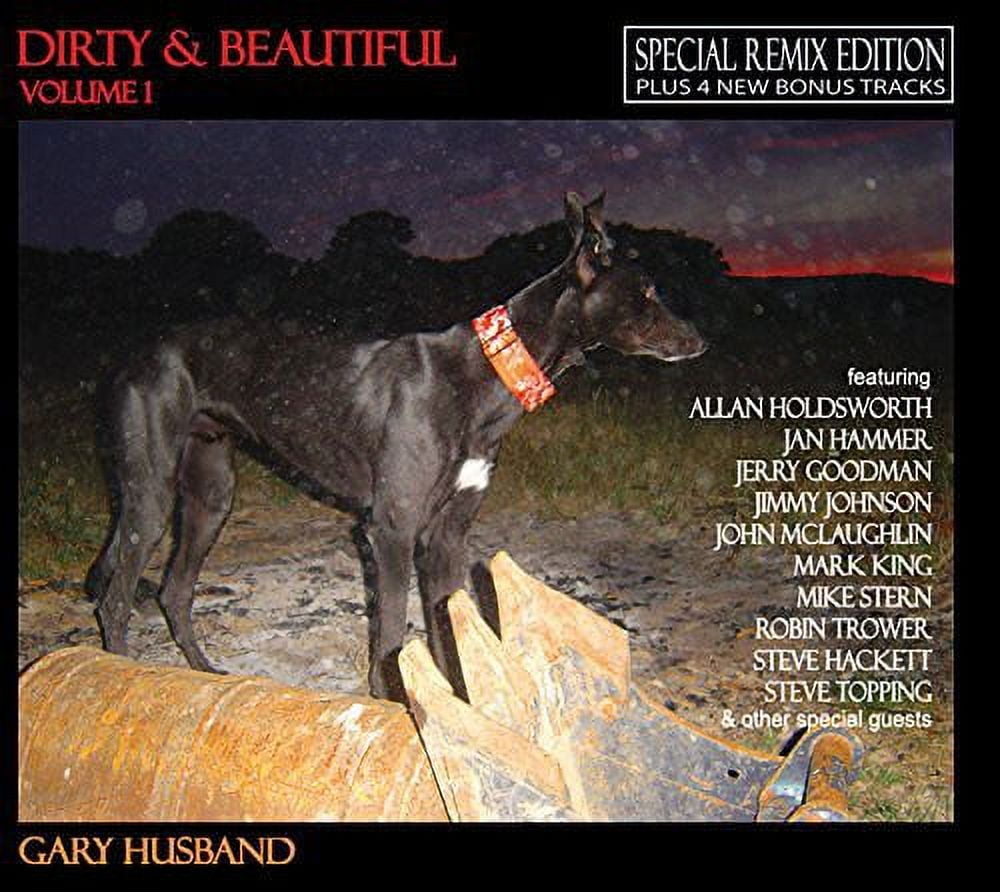 Gary Husband - Dirty & Beautiful 1 - Music & Performance - CD - Walmart.com