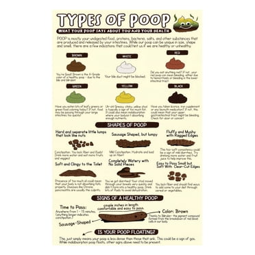 Medical Education Poster Bristol Stool Form Scale Laminated Chart ...
