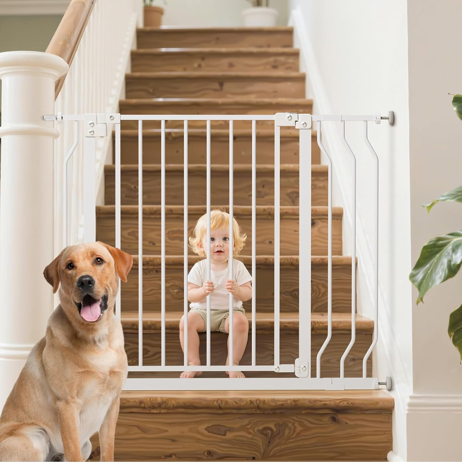 Gate for Stairs, Safety Essentials, Auto Close Gate for Doorways, Easy ...
