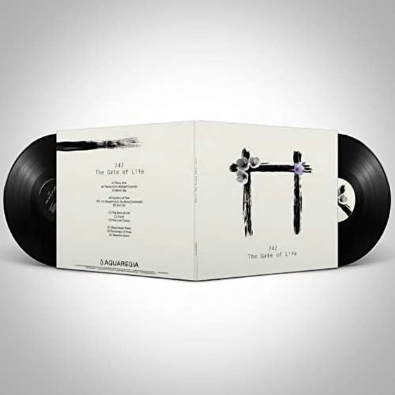 Gatefold Vinyl Records Outer Sleeves – 12 inch Double Sided Protective ...