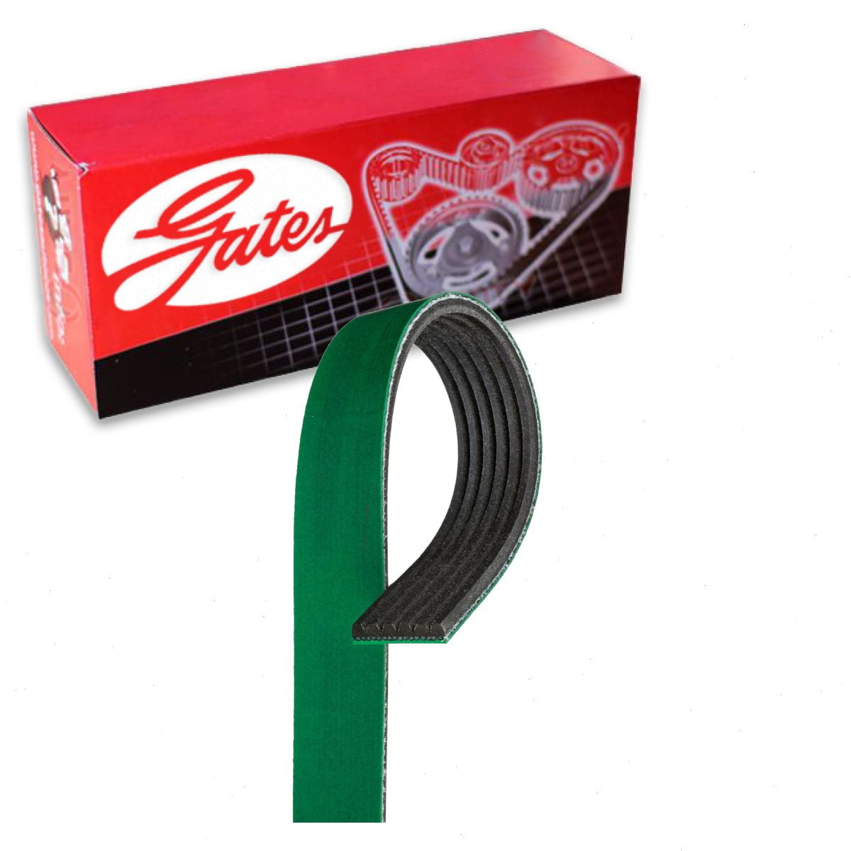 Gates Alternator Water Pump FleetRunner Micro-V Serpentine Belt ...