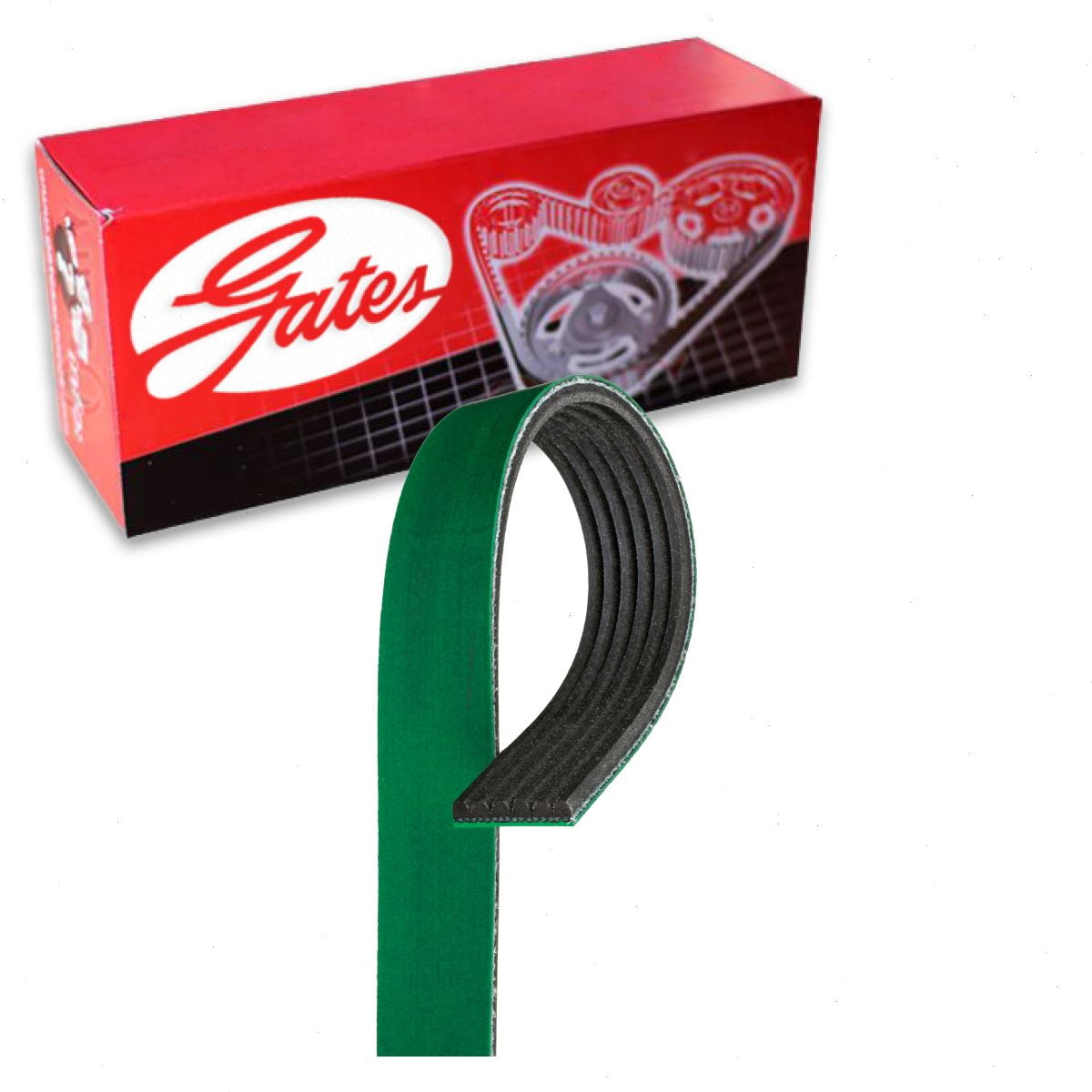 Gates FleetRunner Micro-V Serpentine Belt compatible with Dodge Ram ...